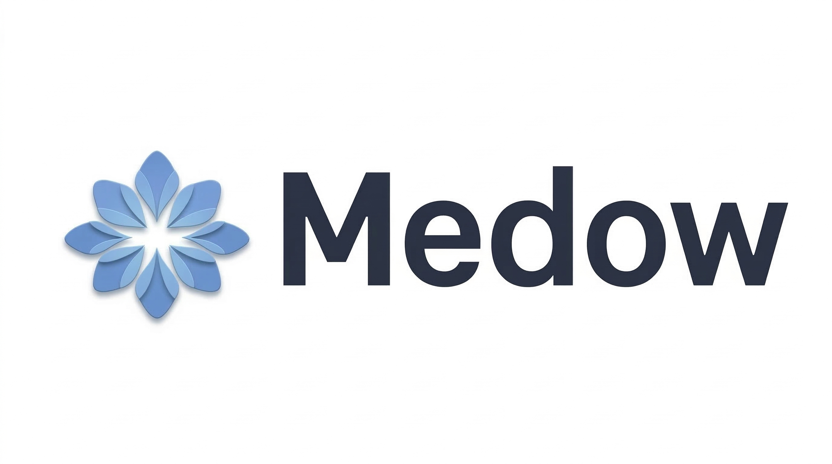 About Medow — Building India's AI Healthcare Backbone